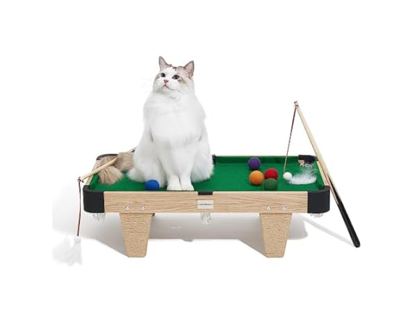 The 10 Best Pool Tables for Cats of 2023 (Reviews) - FindThisBest