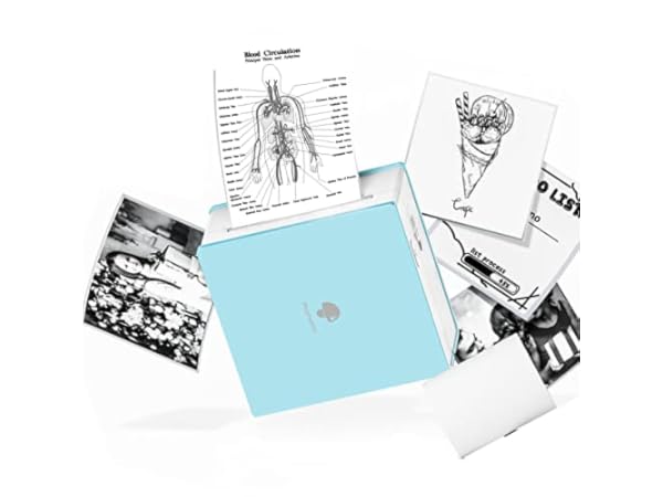 The 10 Best Portable Sticker Printers of 2024 (Reviews) - FindThisBest