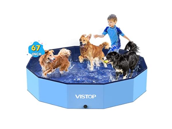 The 7 Best Portable Swimming Pools of 2025 (Reviews) - FindThisBest