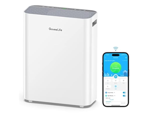 The 10 Best Pre-Filter Air Purifiers of 2024 (Reviews) - FindThisBest