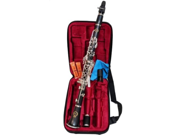 The 9 Best Professional Clarinets of 2025 (Reviews) - FindThisBest