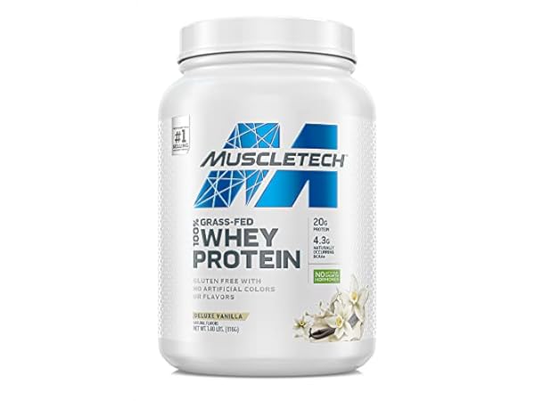 The 10 Best Protein Powders for Muscle Gain of 2024 (Reviews ...