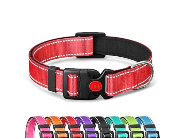 The 10 Best Quick Release Dog Collars of 2024 (Reviews) - FindThisBest