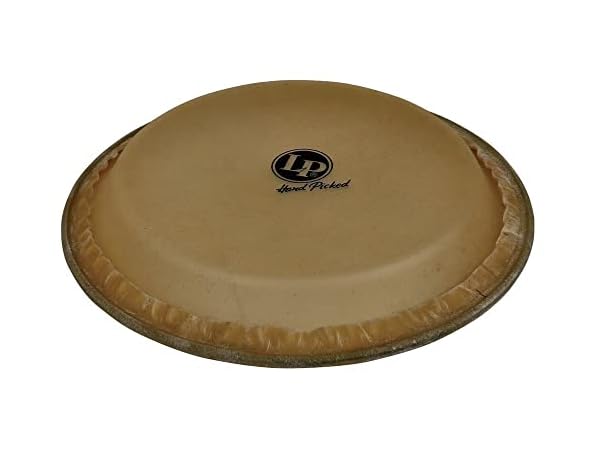 The 10 Best Quintos of 2024 (Reviews) - FindThisBest