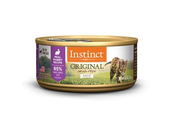 The 10 Best Rabbit Canned Cat Food of 2025 (Reviews) - FindThisBest