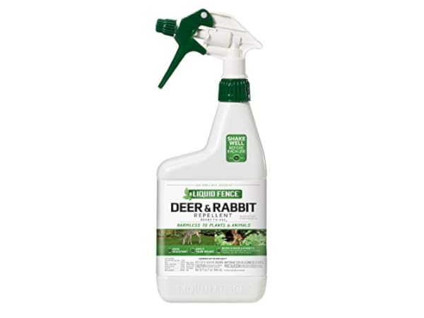 The 10 Best Rabbit Repellents of 2024 (Reviews) - FindThisBest
