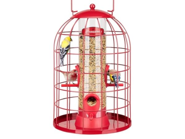 The 7 Best Rain Proof Wild Bird Feeders of 2025 (Reviews) - FindThisBest