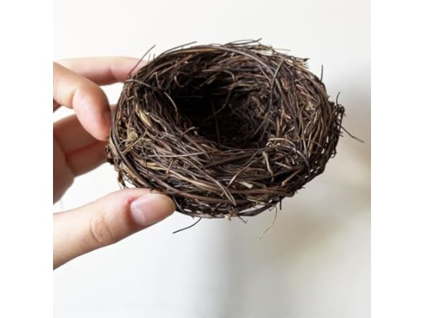 The 9 Best Rattan Birdhouses of 2025 (Reviews) - FindThisBest