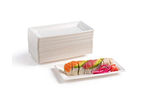 The 10 Best Rectangular Disposable Plates of 2024 (Reviews) - FindThisBest