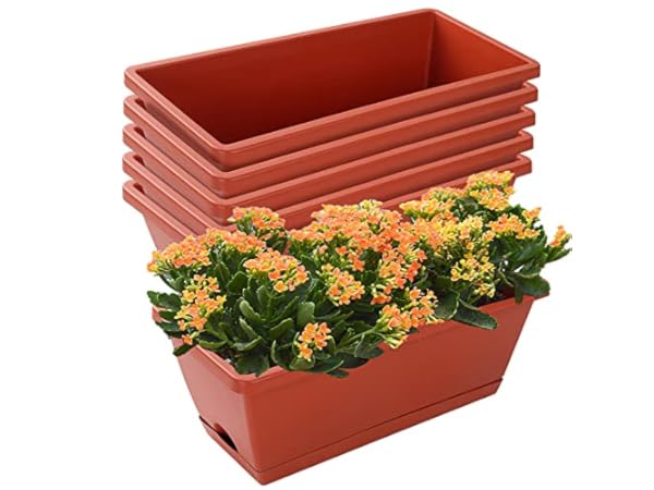 The 10 Best Rectangular Garden Pots of 2025 (Reviews) - FindThisBest