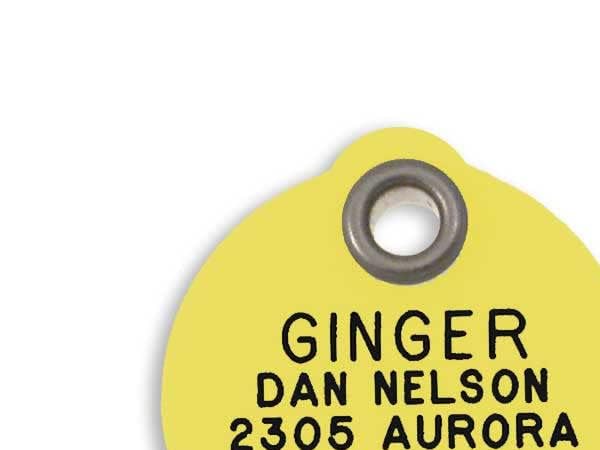 The 10 Best Reflective Dog ID Tags of 2025 (Reviews) - FindThisBest