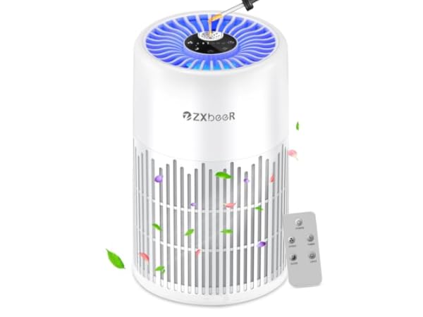 The 10 Best Remote Control Air Purifiers of 2025 (Reviews) - FindThisBest