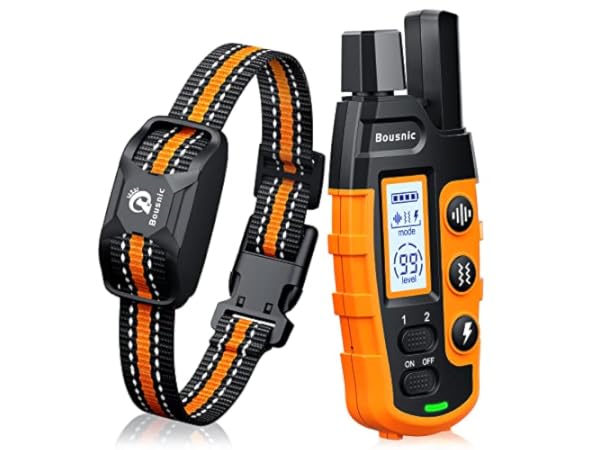 The 10 Best Remote Control Dog Training Collars of 2025 (Reviews ...