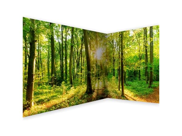 The 10 Best Removable Wall Murals of 2024 (Reviews) - FindThisBest