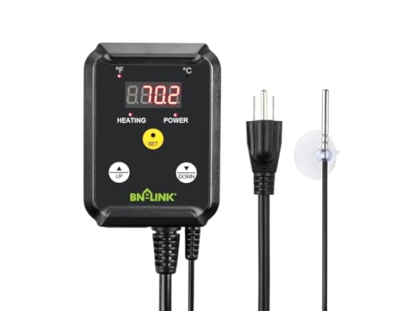 The 10 Best Reptile & Amphibian Terrarium Thermostats of 2026 (Reviews ...