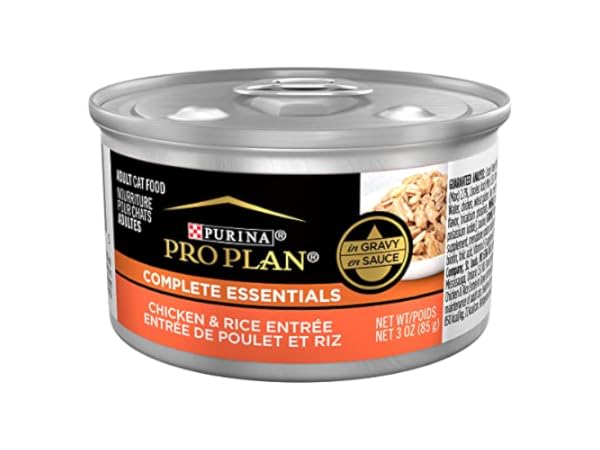 The 10 Best Rice Cat Food of 2025 (Reviews) - FindThisBest