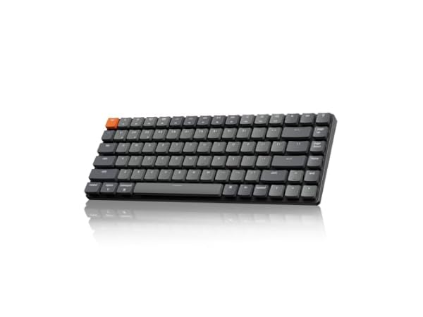 The 10 Best Round Key Mechanical Keyboards of 2026 (Reviews) - FindThisBest
