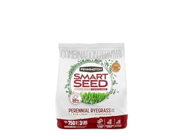 The 10 Best Ryegrass Grass Seed Of 2024 Reviews Findthisbest