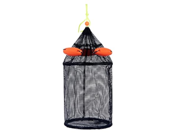 The 6 Best Saltwater Fishing Bait Traps of 2024 (Reviews) - FindThisBest