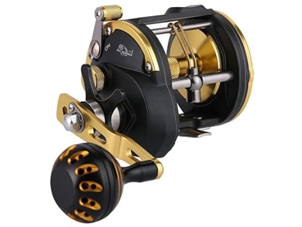 The 10 Best Saltwater Trolling Fishing Reels of 2024 (Reviews ...