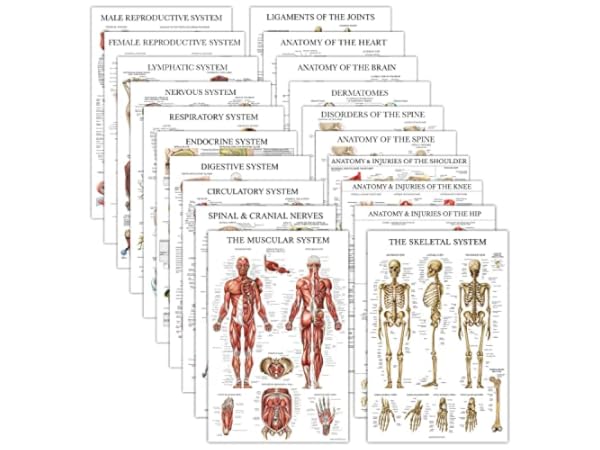 The 10 Best Science Education Charts & Posters of 2024 (Reviews ...