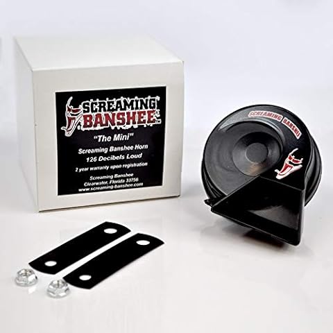 Screaming Banshee Review of 2024 - Motorcycle & Powersports Brand ...