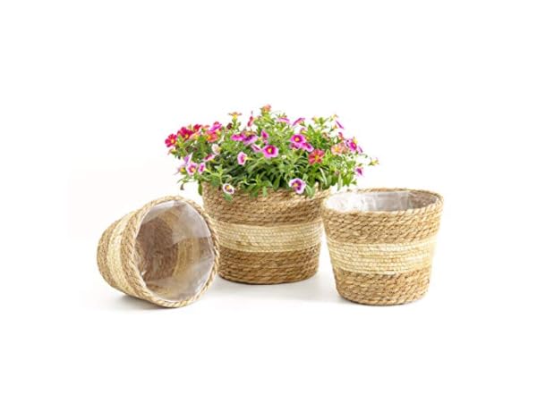 The 7 Best Seagrass Garden Pots of 2024 (Reviews) - FindThisBest