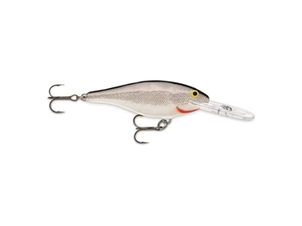 The 10 Best Shad Fishing Lures of 2023 (Reviews) - FindThisBest
