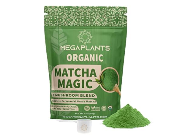 The 10 Best Shade-Grown Matcha of 2025 (Reviews) - FindThisBest