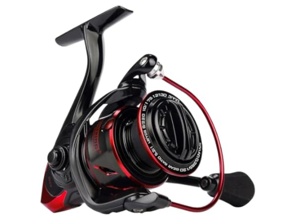 The 10 Best Shark Fishing Reels of 2025 (Reviews) - FindThisBest
