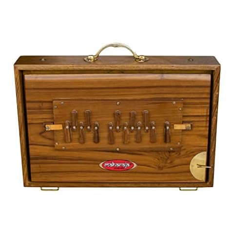 The 7 Best Shruti Boxes of 2023 (Reviews) - FindThisBest