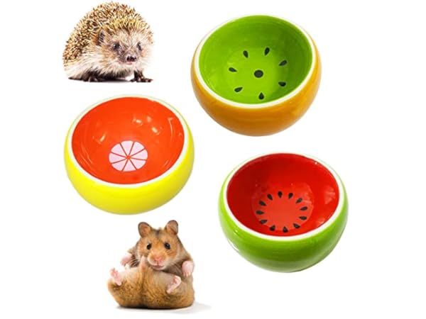 The 10 Best Small Animal Bowls of 2024 (Reviews) - FindThisBest