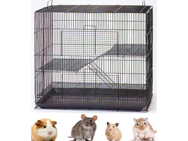 The 10 Best Small Animal Cages of 2024 (Reviews) - FindThisBest