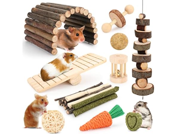 The 10 Best Small Animal Exercise Wheels of 2024 (Reviews) - FindThisBest