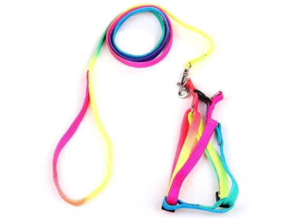 The 10 Best Small Animal Leashes of 2024 (Reviews) - FindThisBest