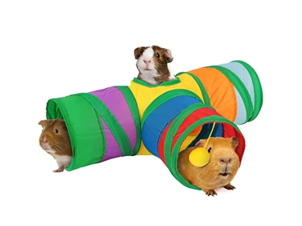 The 10 Best Small Animal Tubes & Tunnels of 2024 (Reviews) - FindThisBest