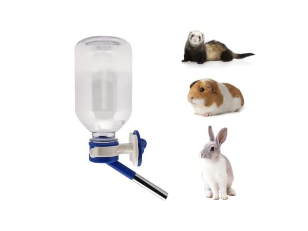 The 10 Best Small Animal Water Bottles of 2024 (Reviews) - FindThisBest