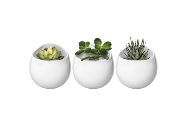 The 10 Best Small Wall Planters of 2026 (Reviews) - FindThisBest