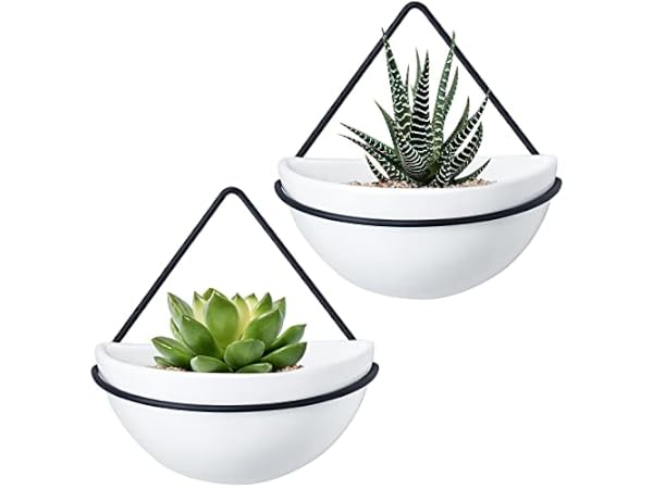 The 9 Best Small Wall Planters of 2024 (Reviews) - FindThisBest