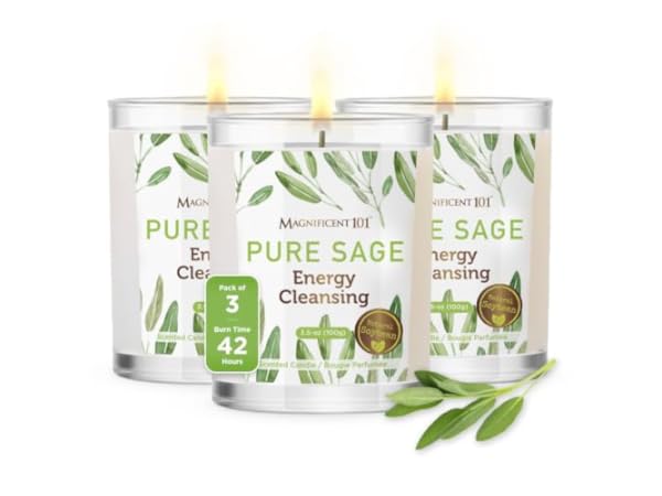 The 10 Best Soy Wax Aromatherapy Candles of 2026 (Reviews) - FindThisBest