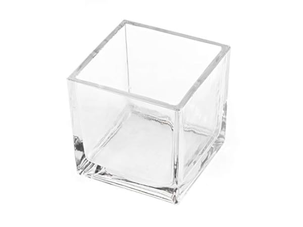 The 10 Best Square Glass Vases of 2024 (Reviews) - FindThisBest