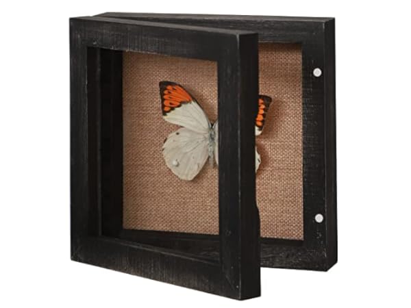 The 9 Best Square Shadow Boxes of 2024 (Reviews) - FindThisBest