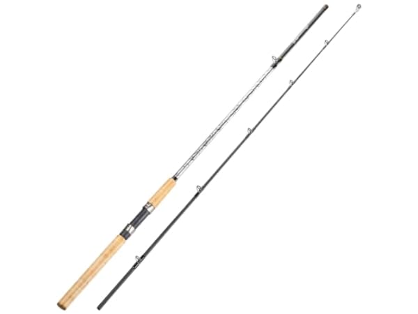 The 10 Best Stainless Steel Fishing Rods of 2025 (Reviews) - FindThisBest
