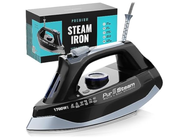 The 10 Best Stainless Steel Irons of 2024 (Reviews) - FindThisBest