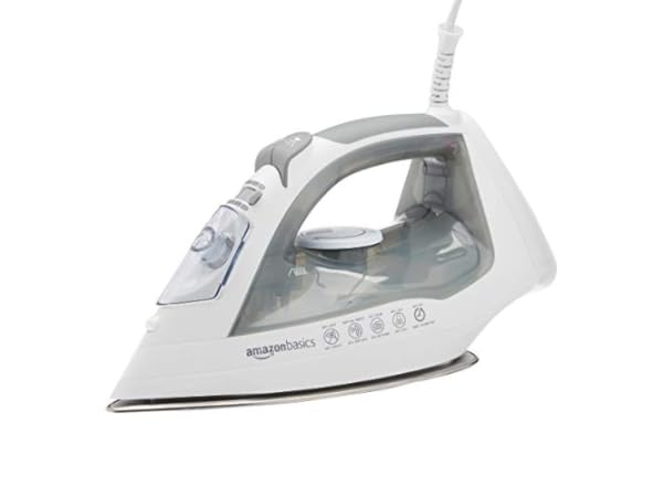 The 10 Best Steam Irons of 2025 (Reviews) - FindThisBest