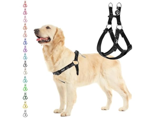 The 10 Best Step-In Dog Harnesses of 2026 (Reviews) - FindThisBest