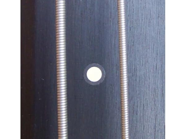 The 10 Best String Bass Parts of 2026 (Reviews) - FindThisBest