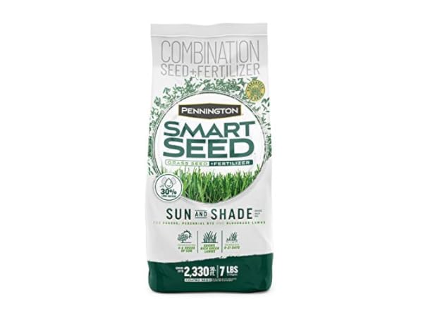 The 10 Best Sun and Shade Grass Seed of 2024 (Reviews) - FindThisBest