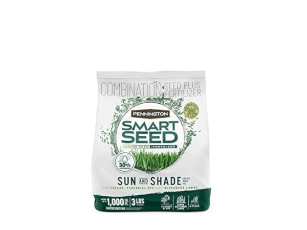 The 10 Best Sun and Shade Grass Seed of 2025 (Reviews) - FindThisBest