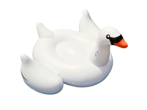 The 10 Best Swan Pool Rafts of 2025 (Reviews) - FindThisBest